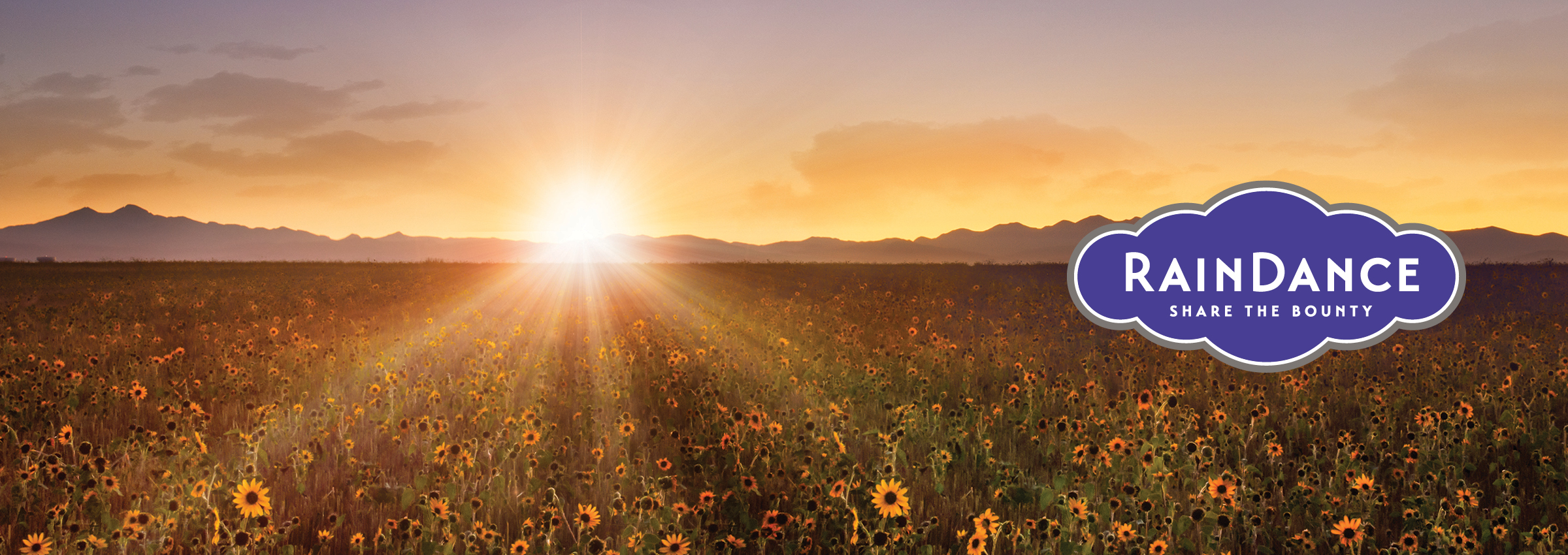 RainDance | Art + Business One