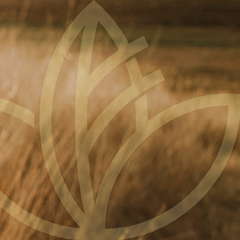 Client Portfolio | A+B1